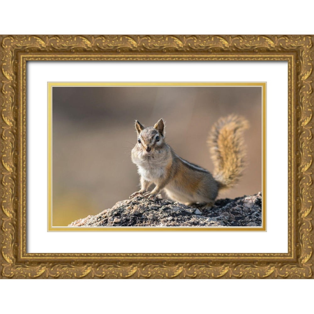 Luhm, Gary 14x11 Gold Ornate Wood Framed with Double Matting Museum Art ...