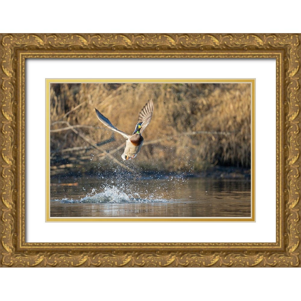 Luhm, Gary 14x11 Gold Ornate Wood Framed with Double Matting Museum Art ...