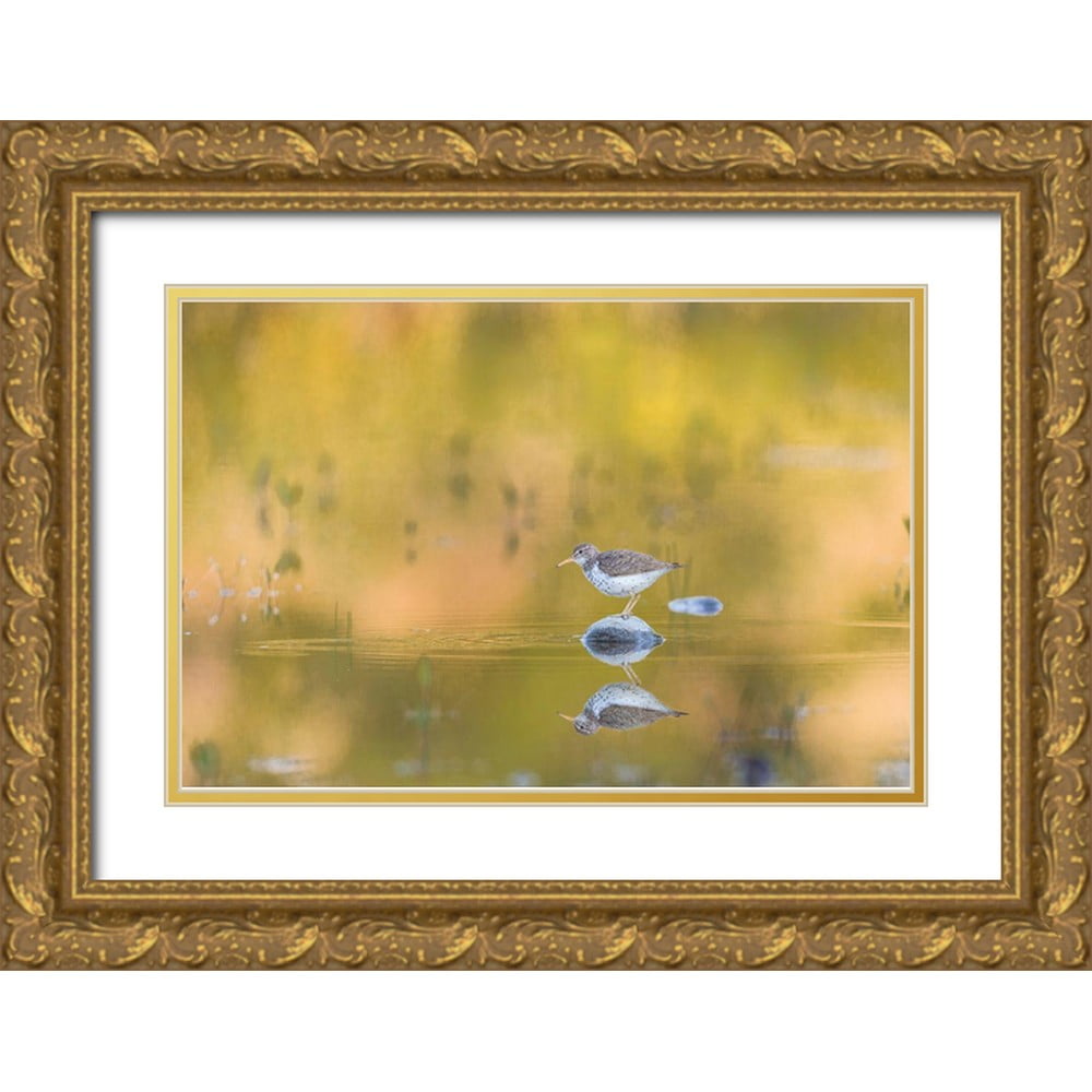 Luhm, Gary 18x13 Gold Ornate Wood Framed with Double Matting Museum Art ...