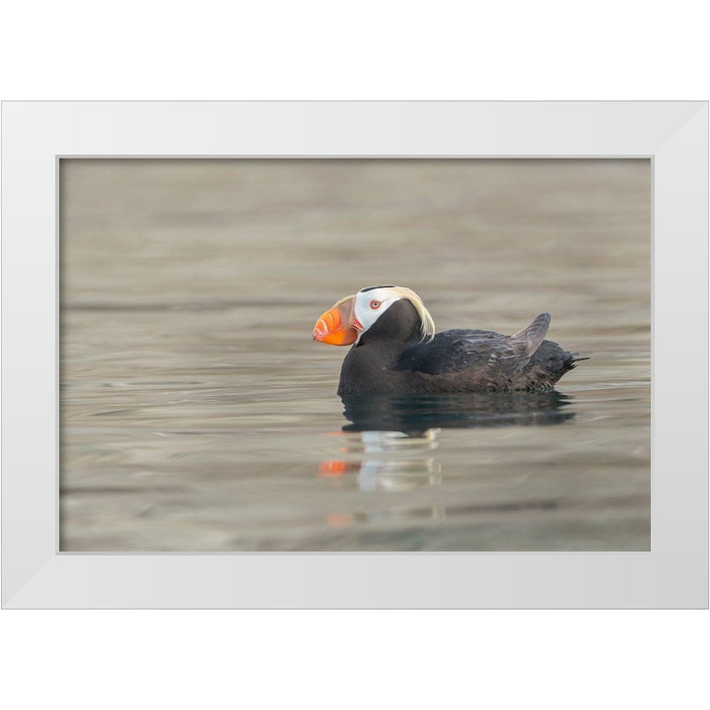 Luhm, Gary 24x17 White Modern Wood Framed Museum Art Print Titled ...