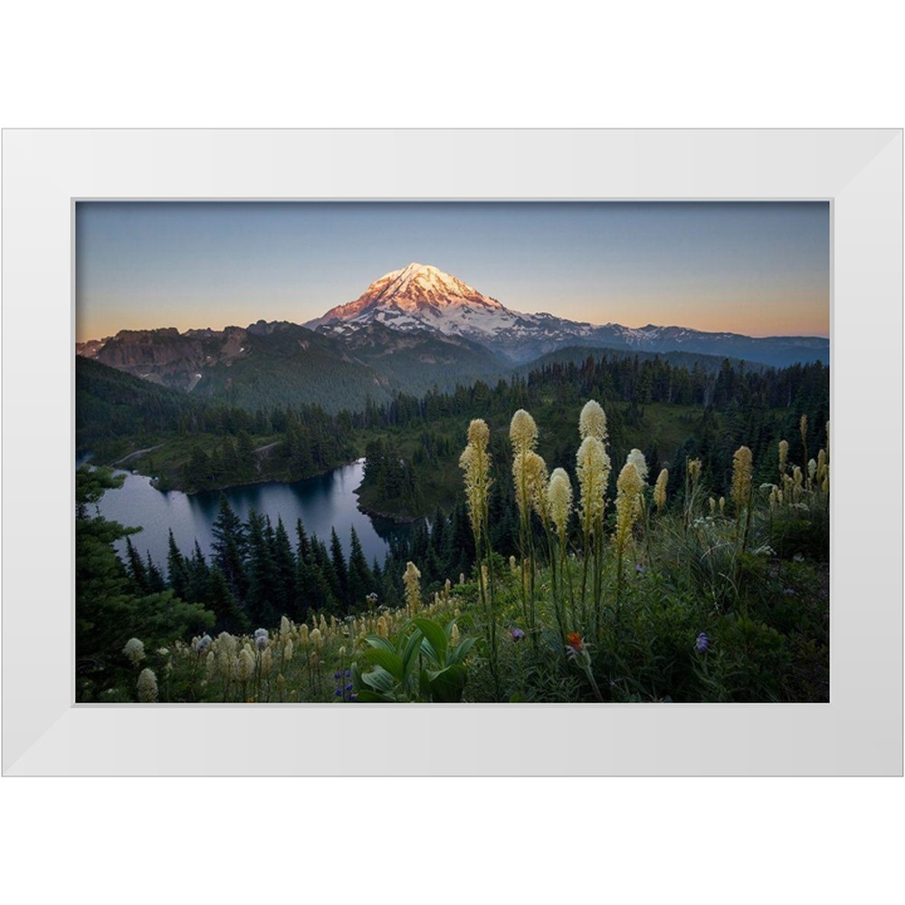 Luhm, Gary 24x17 White Modern Wood Framed Museum Art Print Titled ...