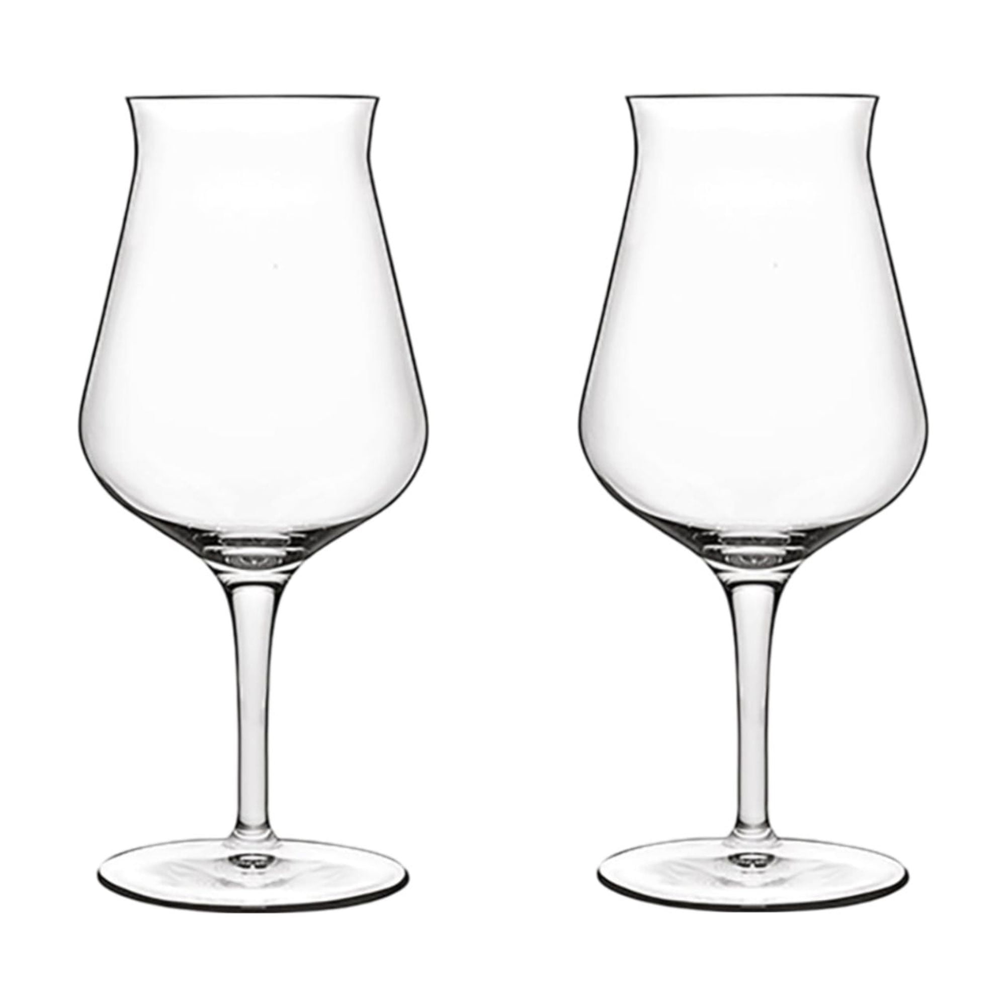 Luigi Bormioli Birrateque Beer Tester Glasses - Set of 2, Clear ...