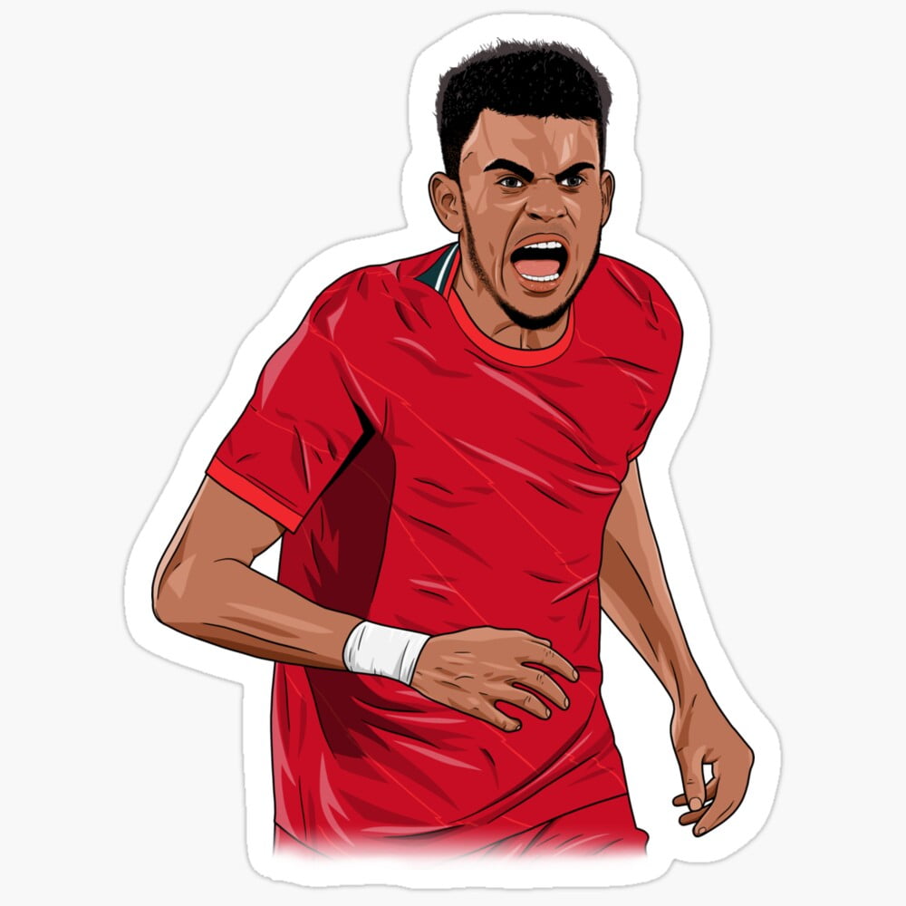 Luis Diaz Sticker Phone Decal Water Bottle Stickers Car Decals, Laptop ...