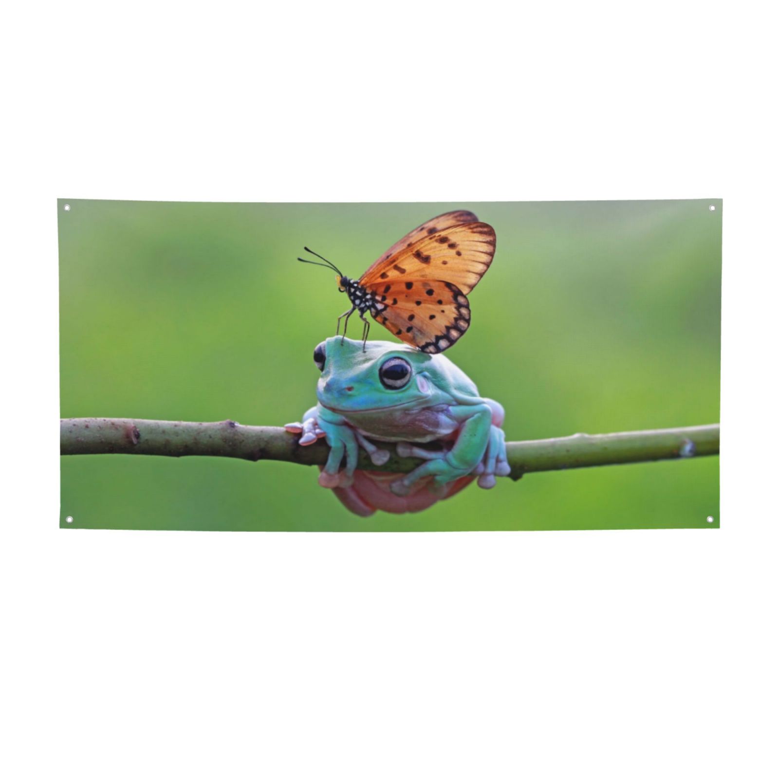 Lukts Butterfly Landing On Head Dumpy Frog Print Banners and Signs for ...