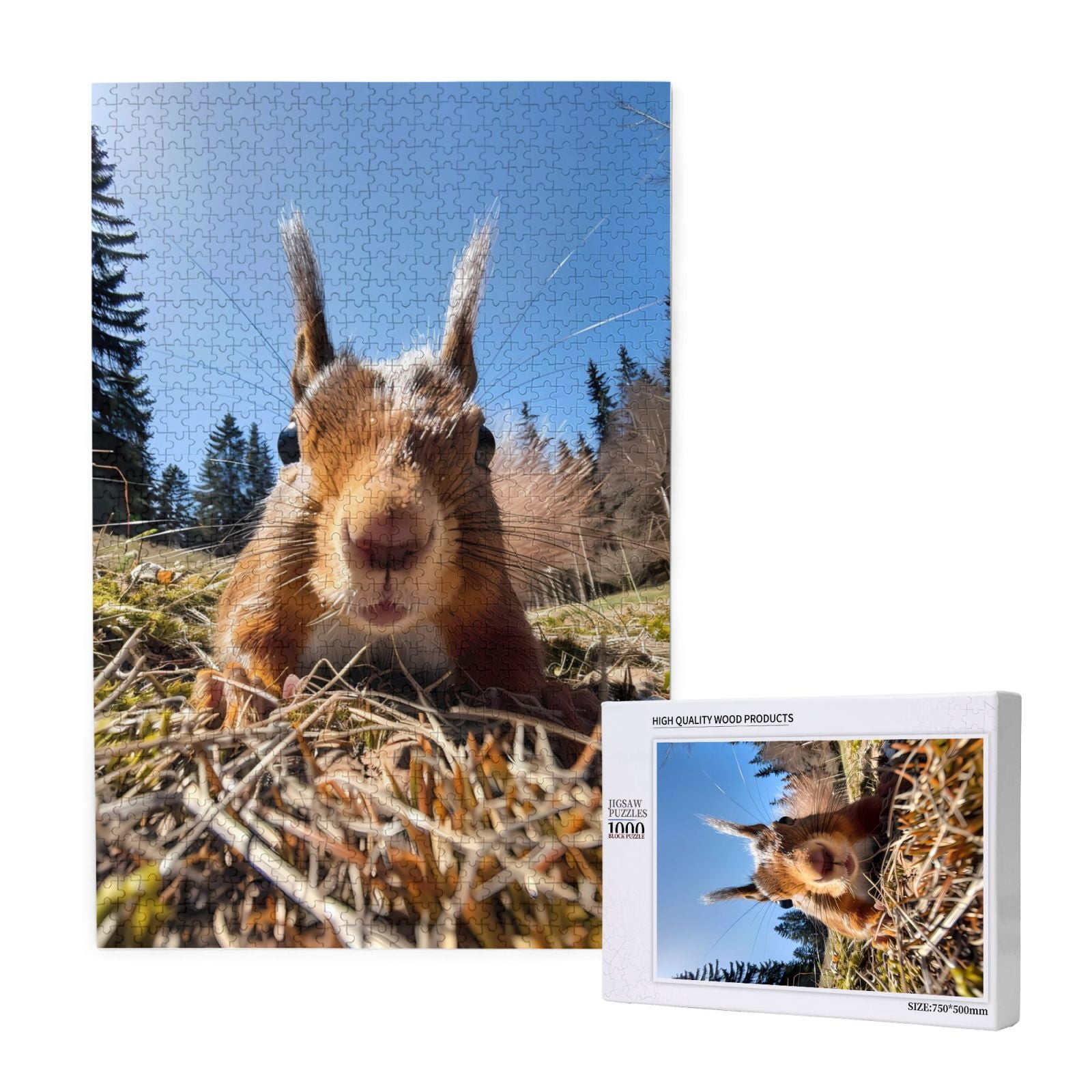 Lukts Close-Up Curious Squirrel for Jigsaw Puzzles,Puzzles for Adults ...