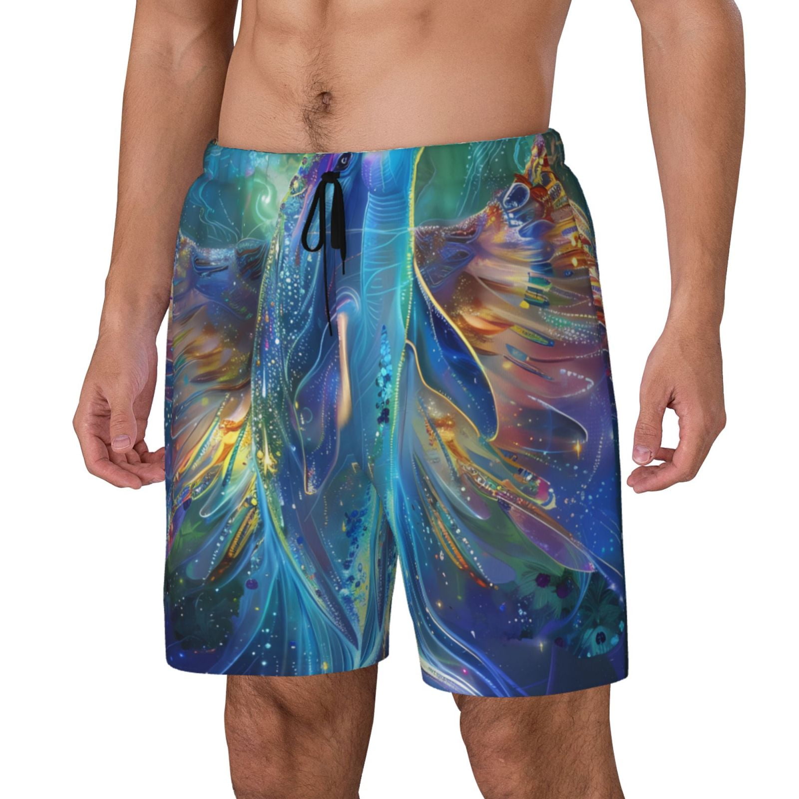 Lukts Colorful Winged Dolphin print Mens Swim Trunks Swim Shorts Quick ...