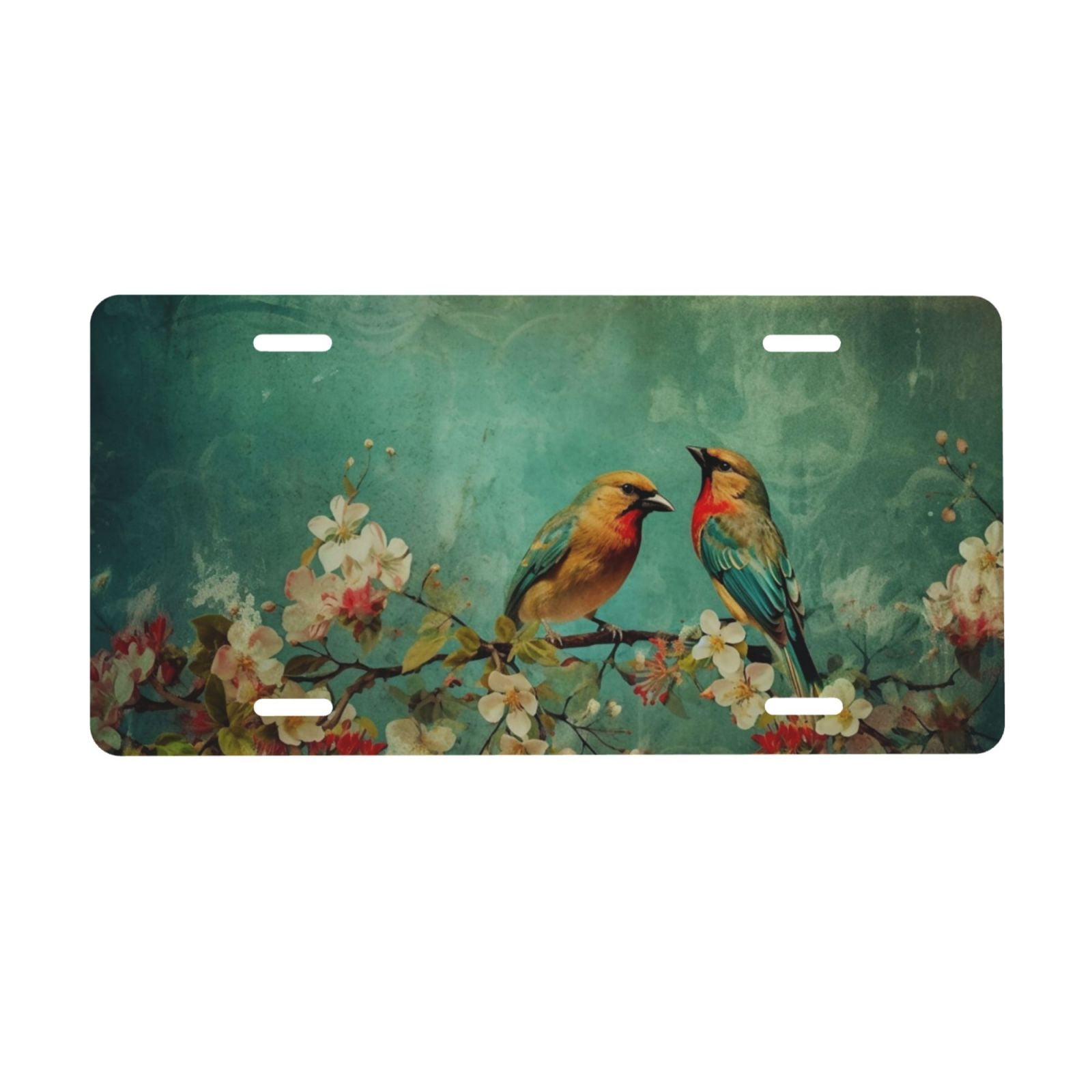 Lukts Retro Birds for Car Aluminum Front License Plate, 12x6 Inch Car ...