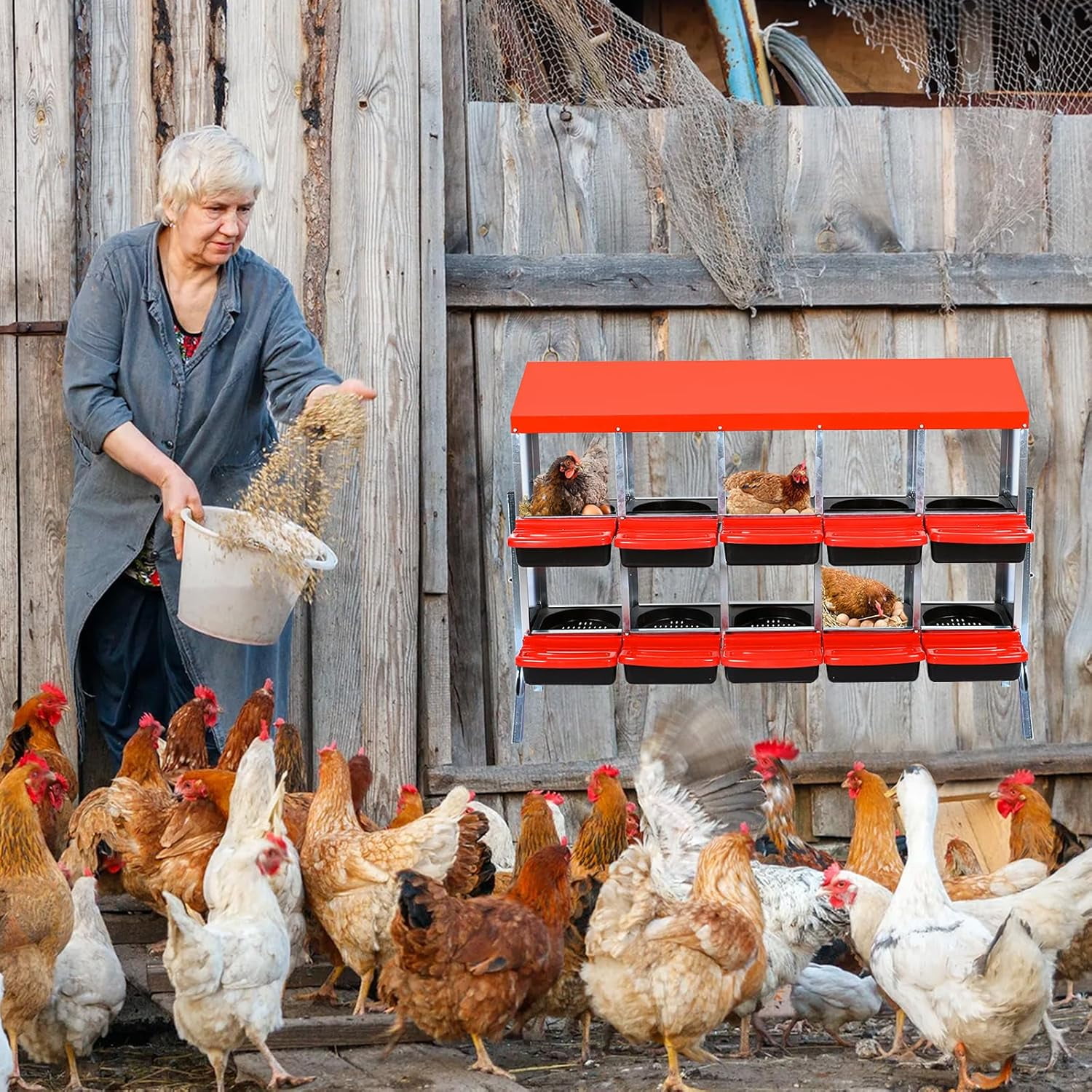 Luku Chicken Nesting Box with 10 Compartments - Roll Away Design for ...