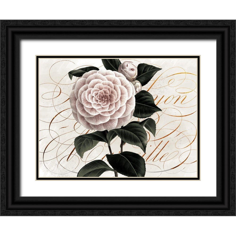 Lula Bijoux and Company 14x12 Black Ornate Wood Framed with Double ...
