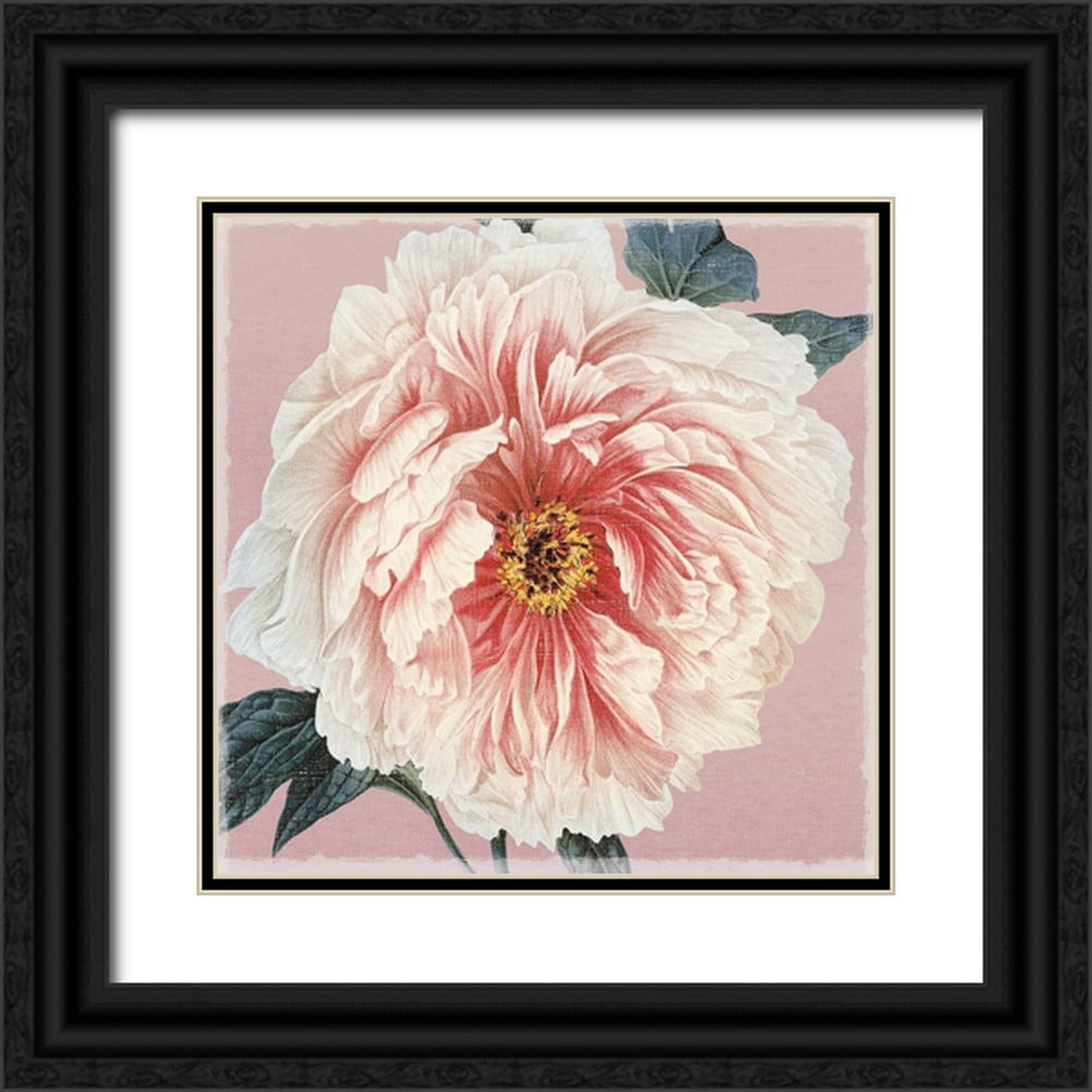 Lula Bijoux and Company 15x15 Black Ornate Wood Framed with Double Matting Museum Art Print ...