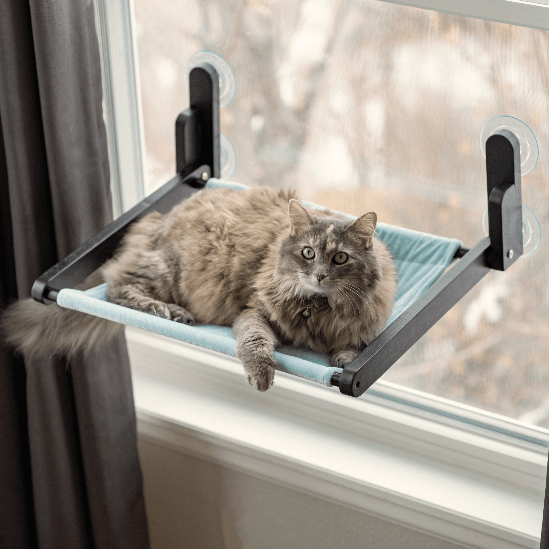 Luli & Cat Cat Window Perch: Cordless, Foldable Wooden Cat Window ...