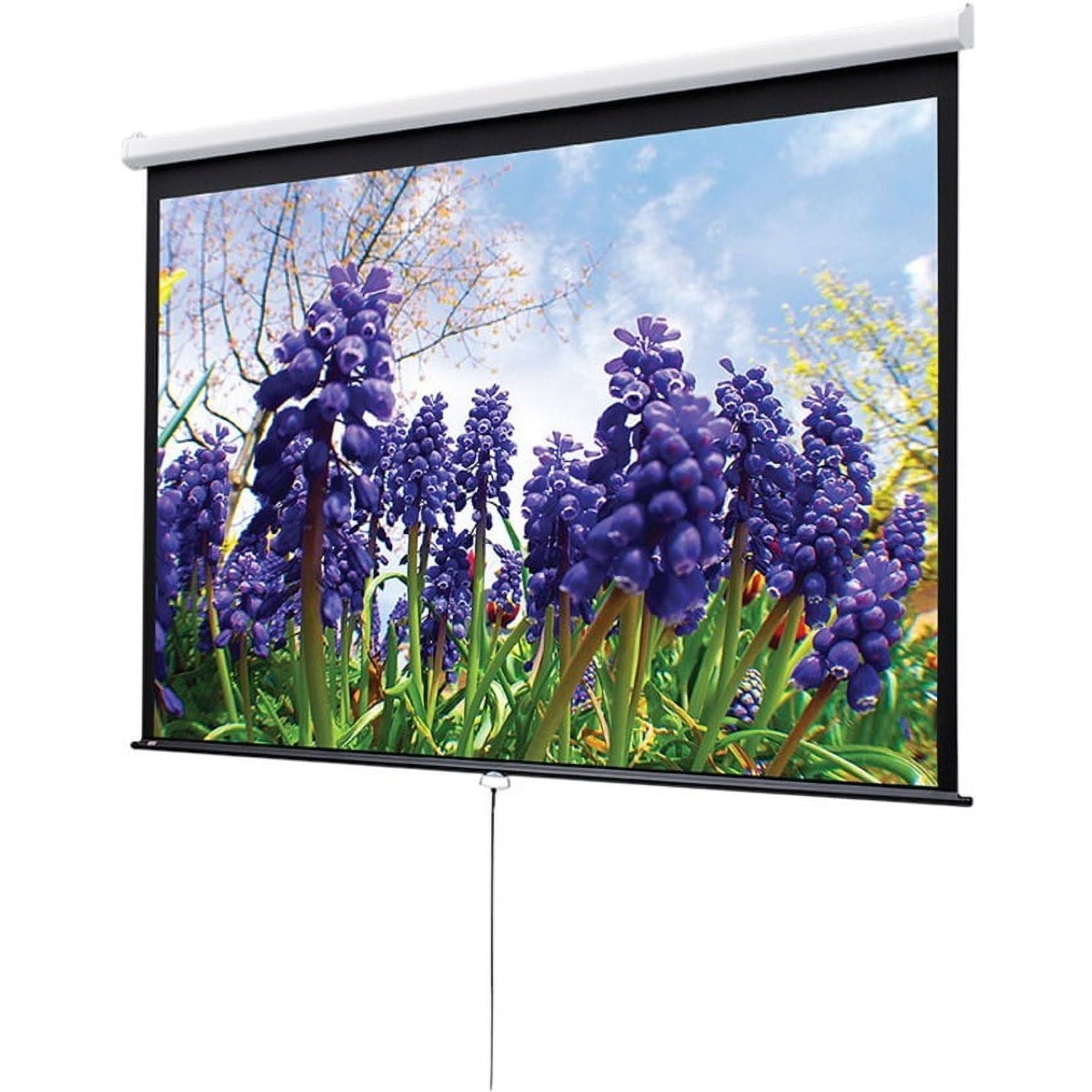 Luma Manual Wall and Ceiling Projection Screen - Walmart.com
