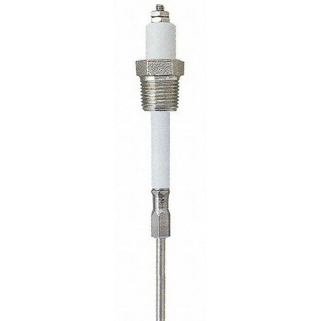 Lumenite Liquid Level Probe,12 In,3/8 NPT PHST38Q12"UN - Walmart.com
