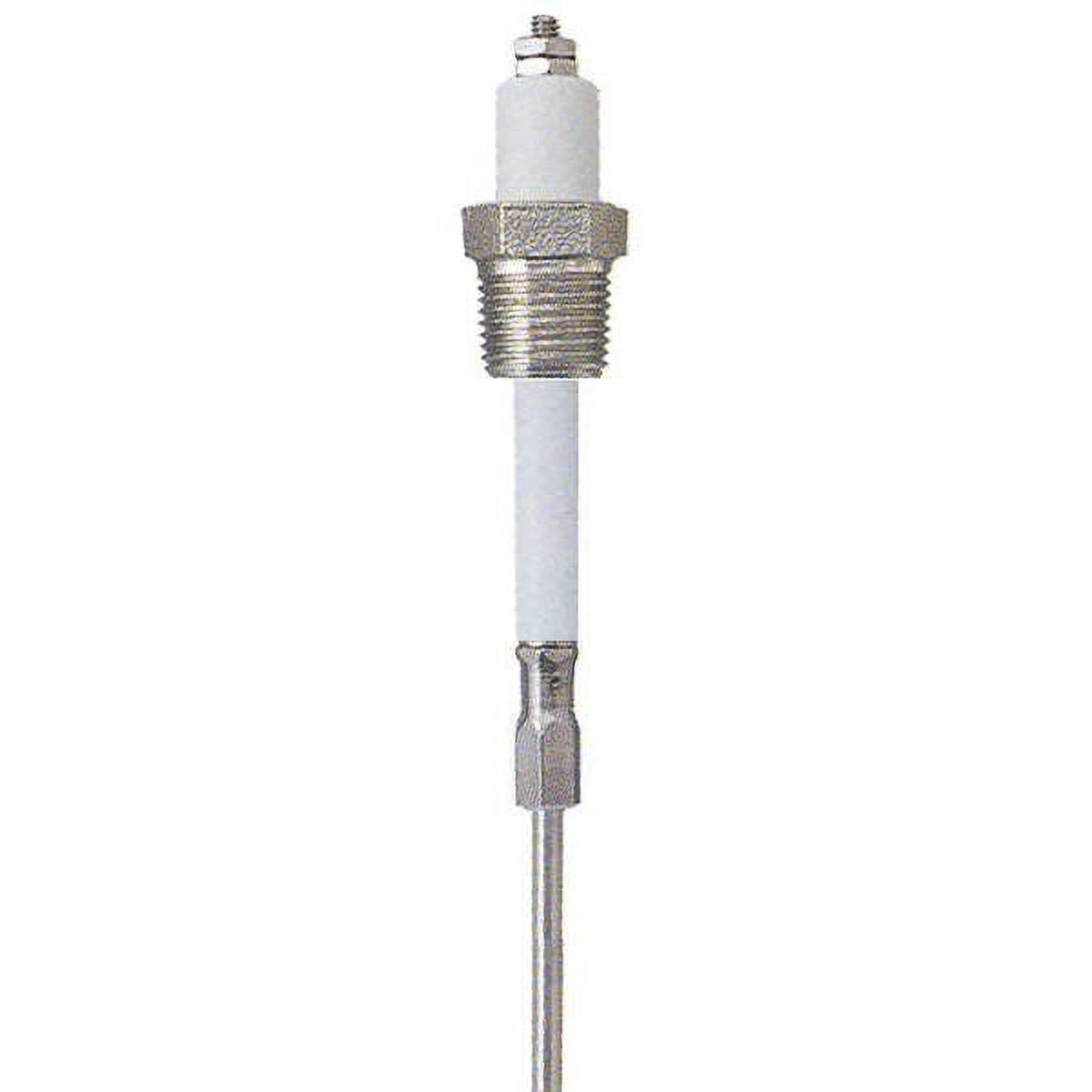 Lumenite Liquid Level Probe,12 In,3/8 NPT PHST38Q12"UN - Walmart.com