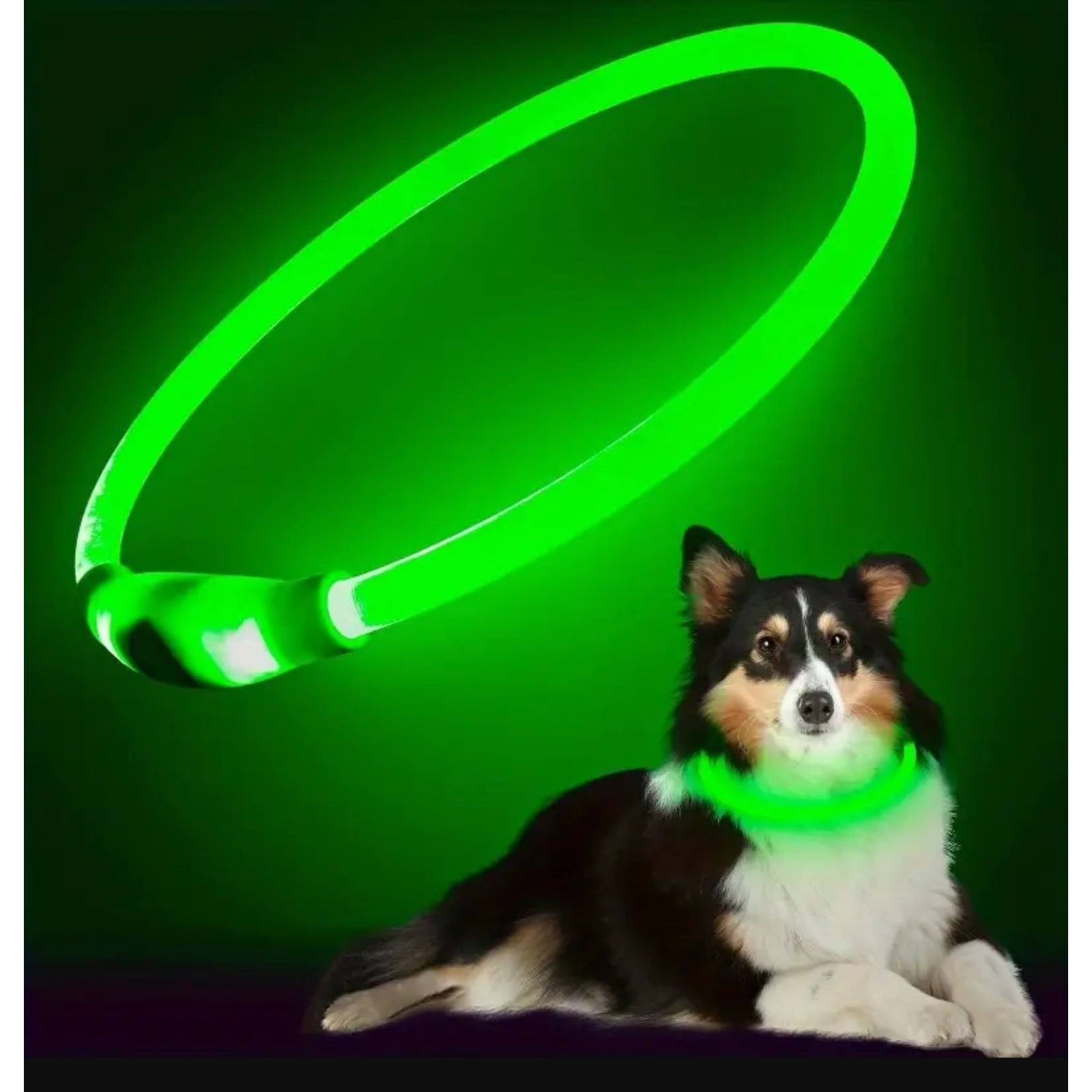 Luminous Dog Collar, USB Rechargeable Flashing Dog Necklace Light, Pet ...