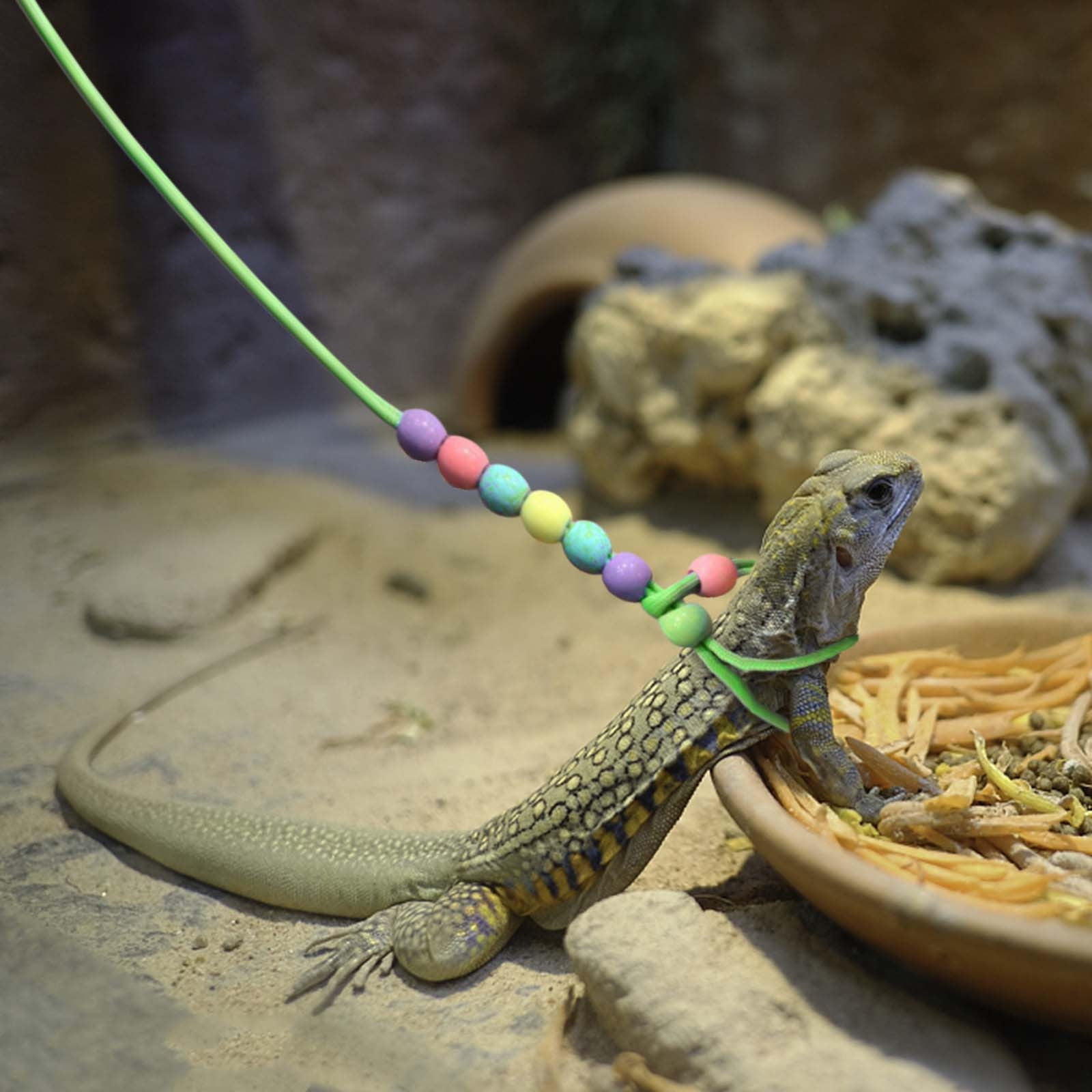 Luminous Reptile Leash Adjustable Nylon Traction Rope for Lizards ...