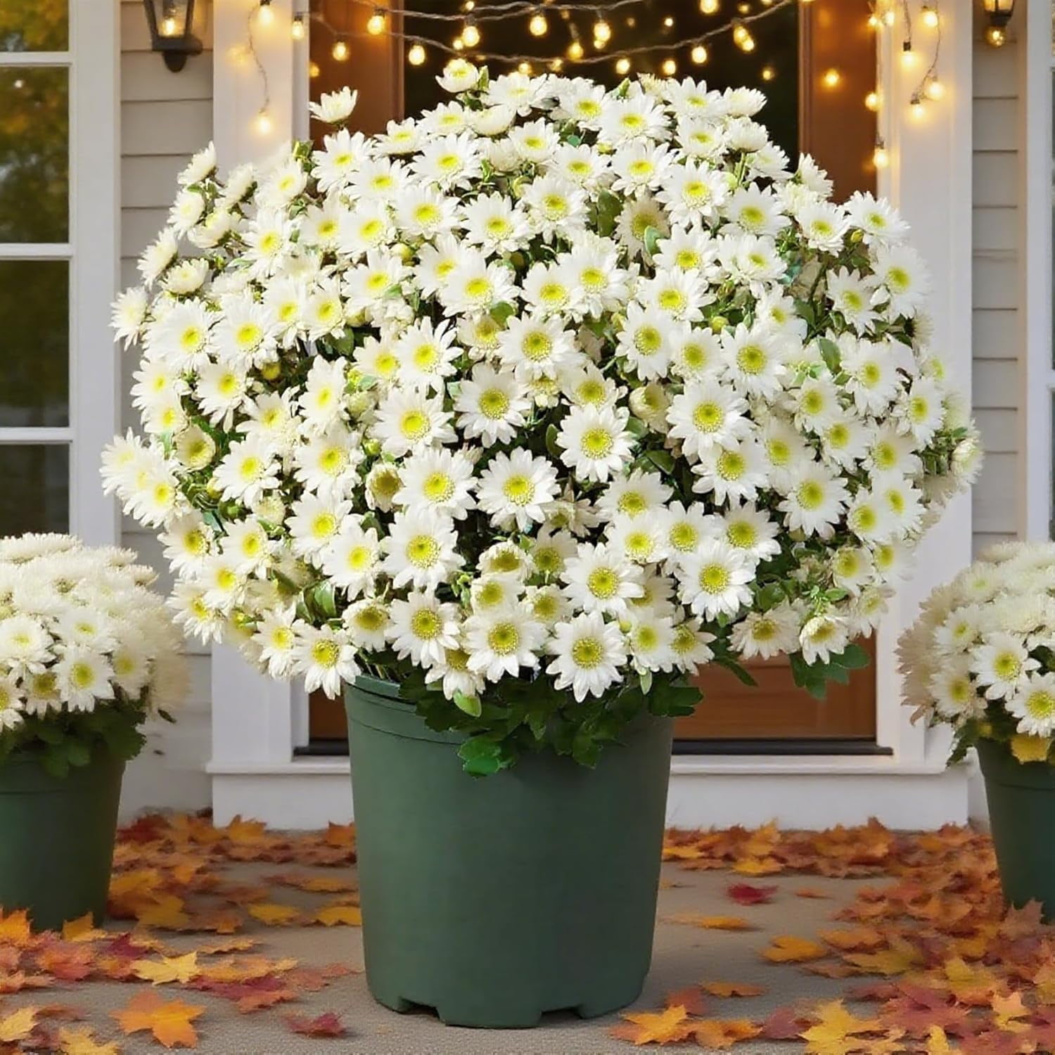 Luminousey Artificial Mum - Outdoor UV Resistant Faux Mum Flowers, Fade ...