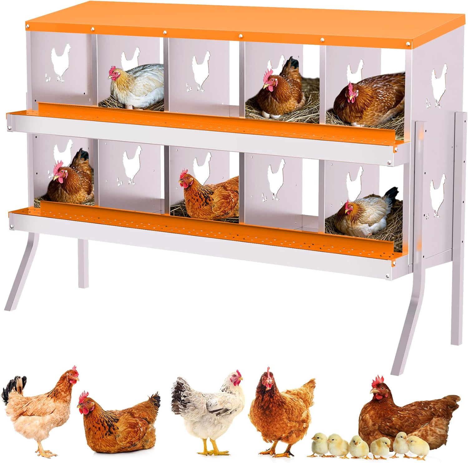 Lumiparty Chicken Nesting Box, 10 Compartment Chicken Laying Boxes with ...