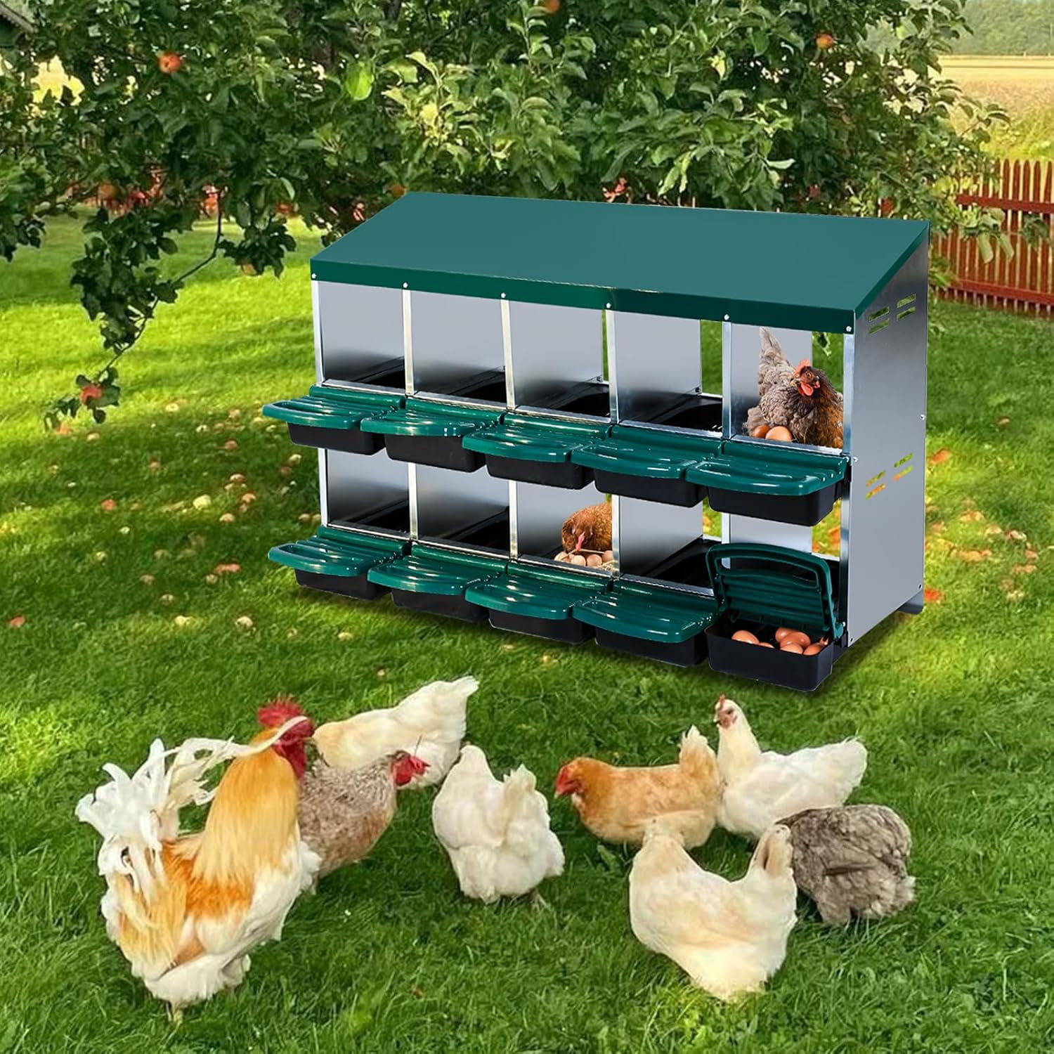 Lumiparty Chickens Nesting Boxes, 10 Compartment Roll Away Hens Nesting ...