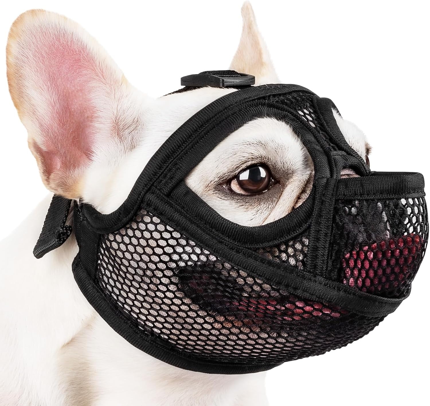 Lumivia Bulldog Muzzle & Dog Muzzle for Flat - Faced Dogs - Full Pant ...