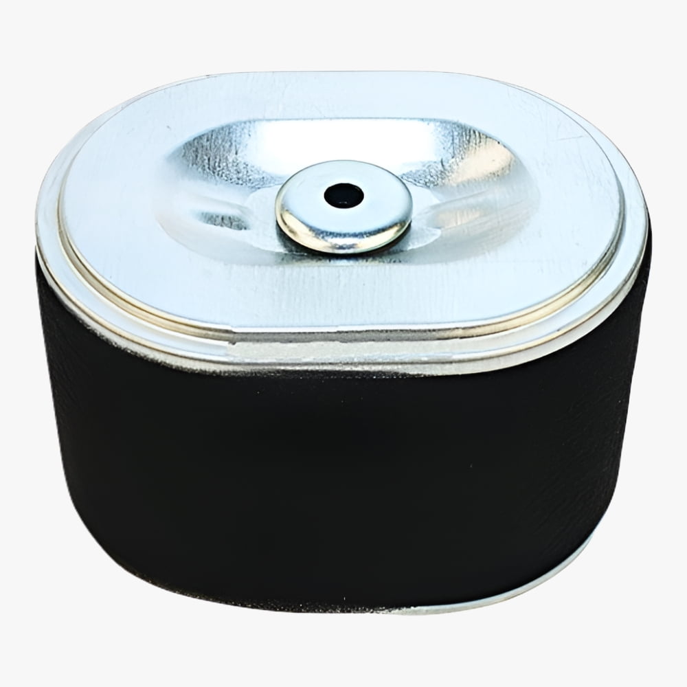 Lumix GC Engine Motorized Air Filter Cleaner for Coleman KT196 Go Kart ...