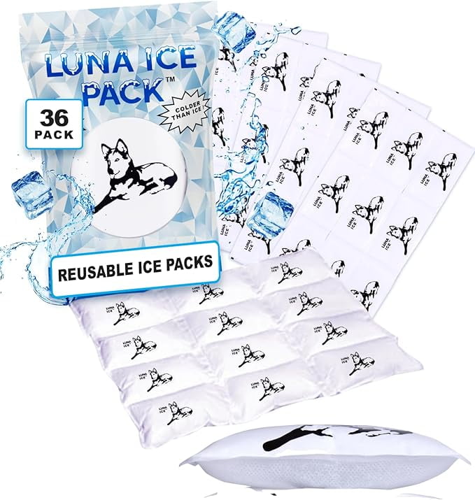 Luna Dry Ice For Shipping Frozen Food Ice Packs Shipping Cold Pack Shipping Ice Packs For