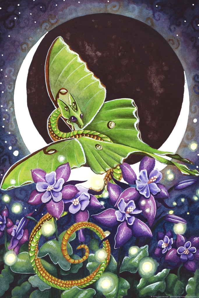Luna Lights Dragon Green Moth by Carla Morrow Fantasy Cool Wall Art ...