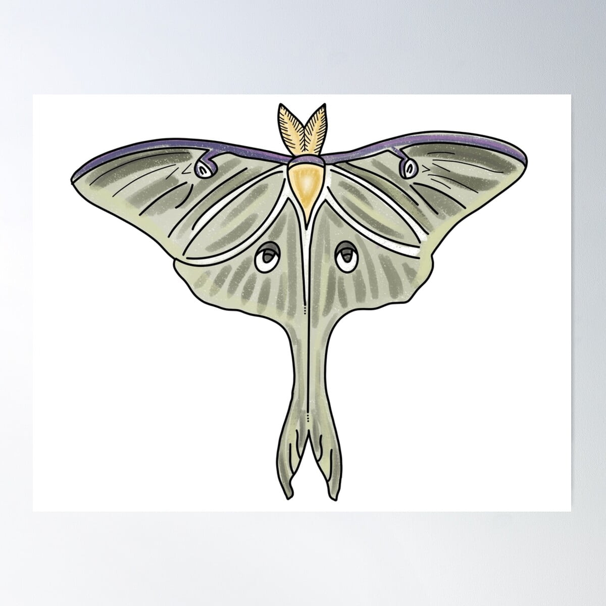 Luna Moth Poster Wall Art, Modern Wall Decor For Living Room Bedroom ...