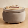 Luna Storage Ottoman, Mocha Brown Velvet - Walmart.com