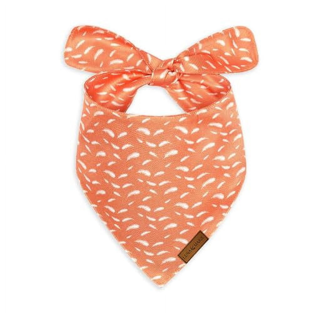 LunaMarie - Luxury Pet .. Birthday Bandanas -Premium & .. Silky Poly ...