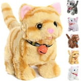 Lunafex Robot Cat, Luna The Robot Cat, Luna – Lunafex My Simulated ...