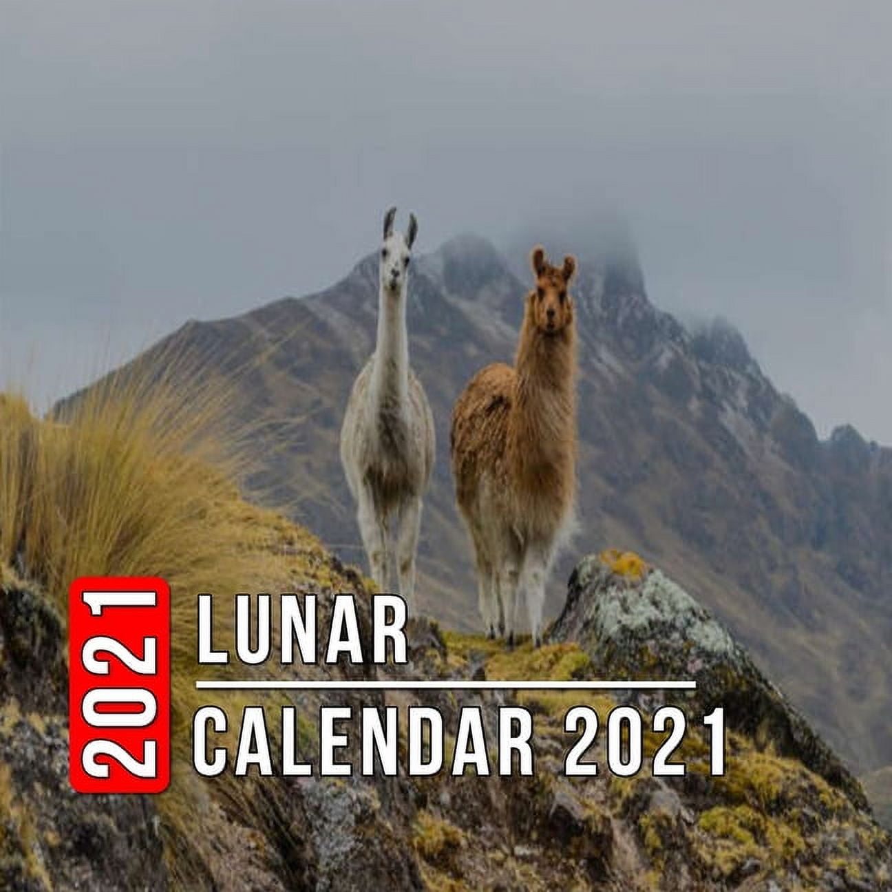 Lunar Calendar 2021: 12 Month Mini Calendar from Jan 2021 to Dec 2021 ...