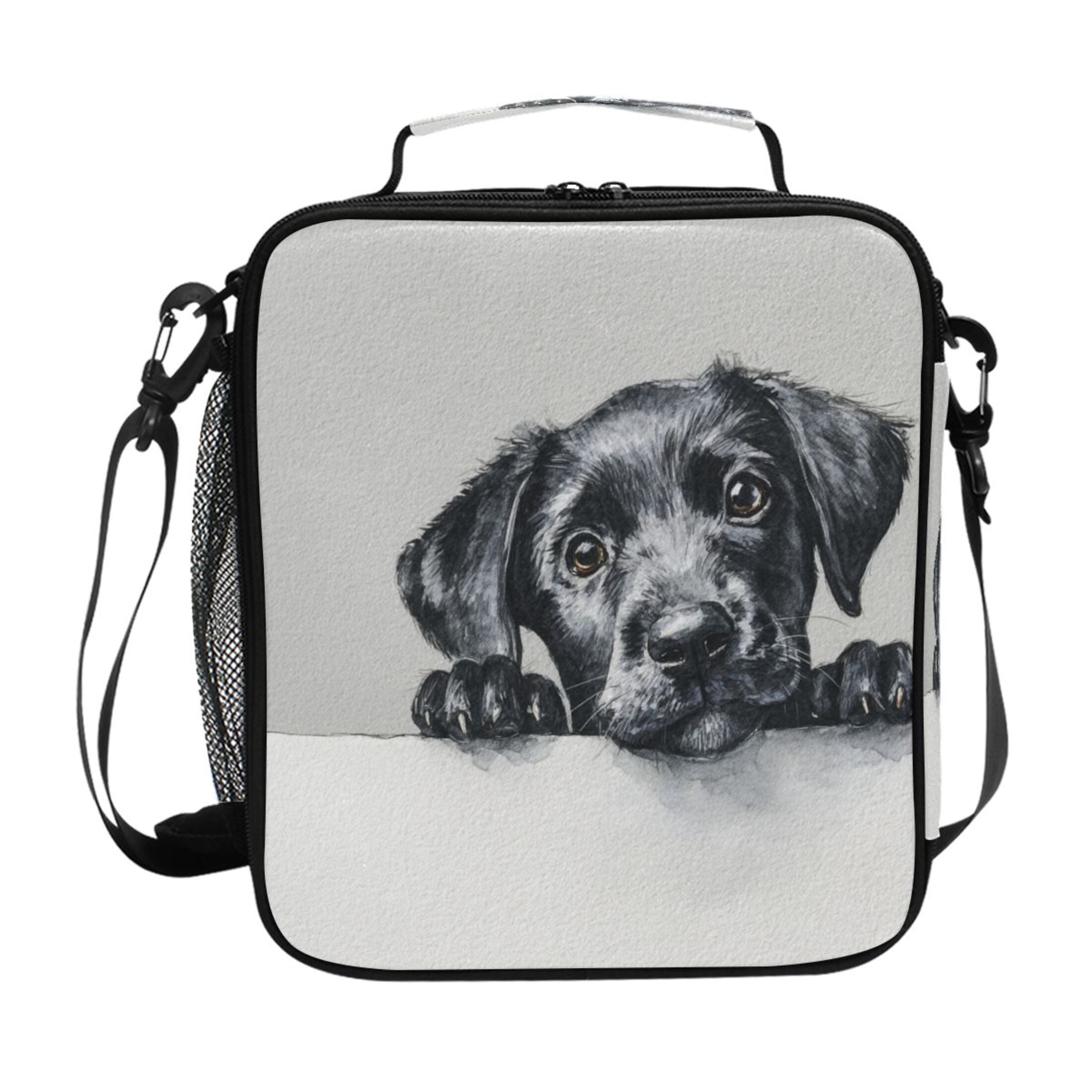 Lunch Bag 10.5*3.5*9.5 Inches Cooler Bag Lunch Bag Insulation Portable ...