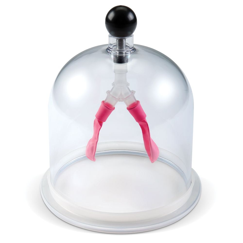 Lung Function Model - Walmart.com