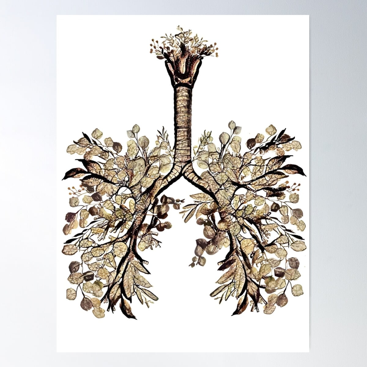 Lungs With Leaves, Organs, Respiratory, Botanical Lungs, Lung Cancer ...