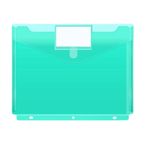 Lunxisen 2 Pcs 3-Hole Document Pouch Organizer, Clear Plastic Folder ...