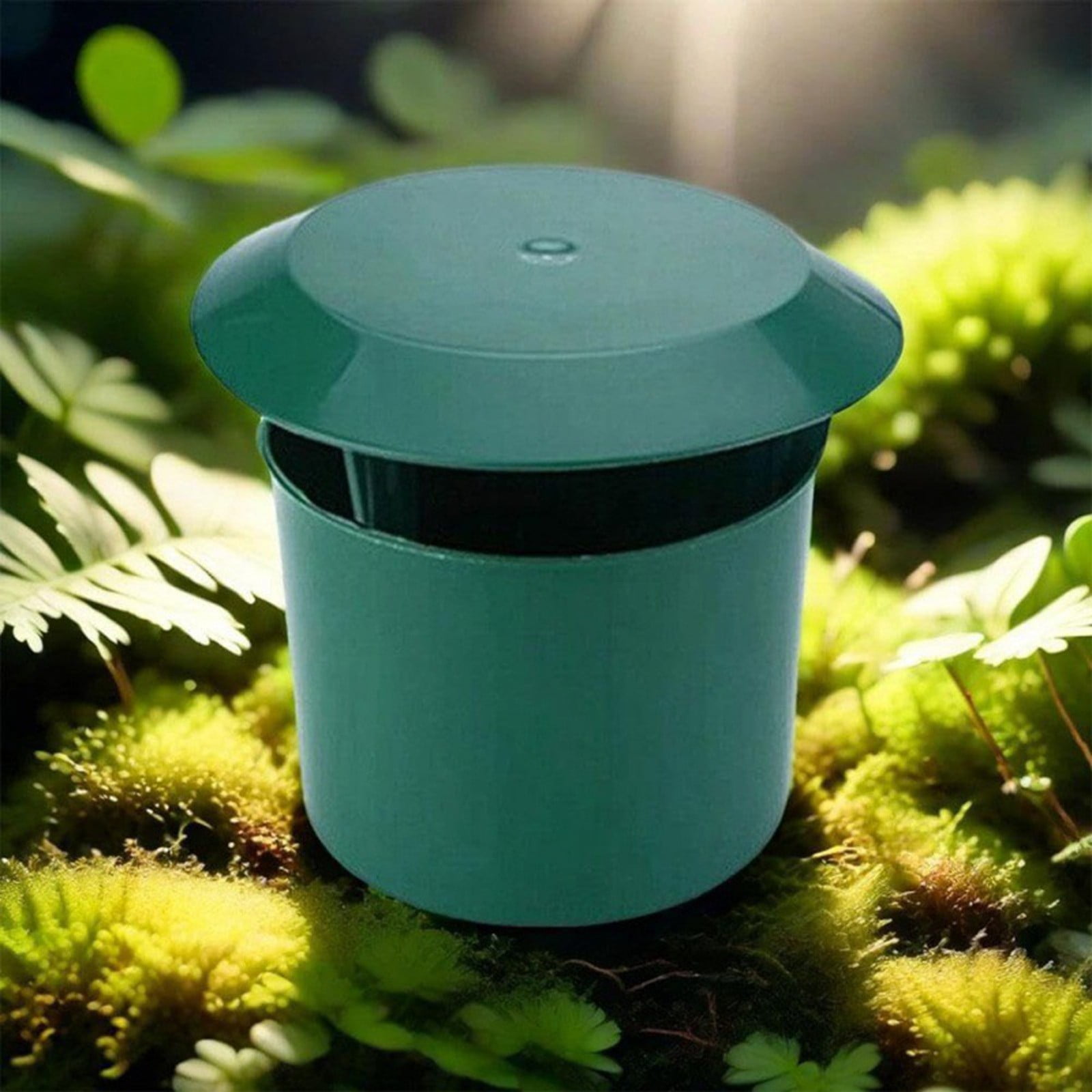 LuoYinDa Glue for Crickets & Box C*tcher T Reusable Box Garden Farm ...