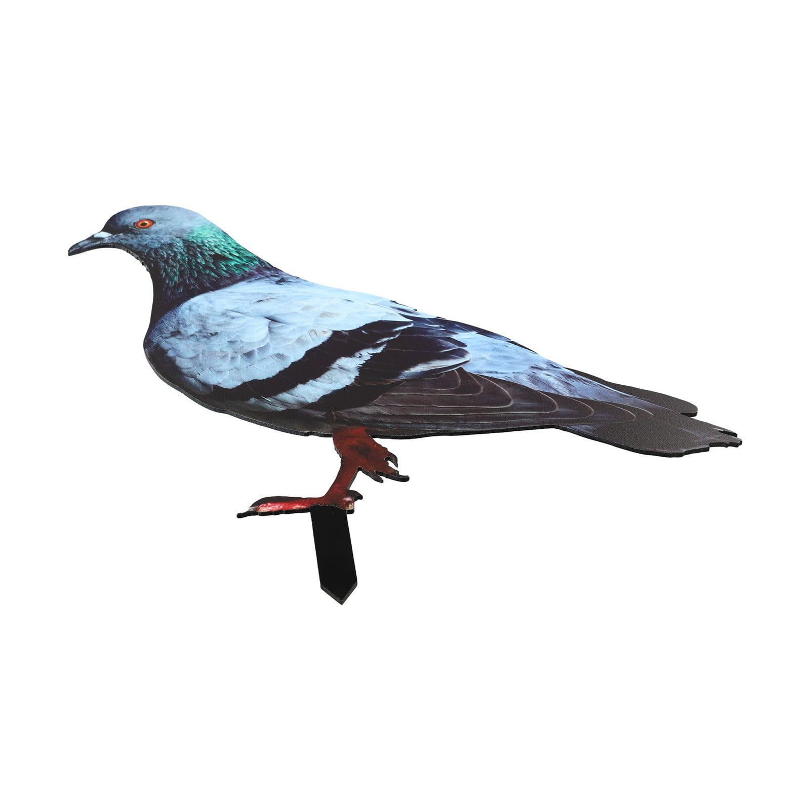 Luolandi 2D Acrylic Garden Pigeon Statue Wild Pigeon Sculpture For ...