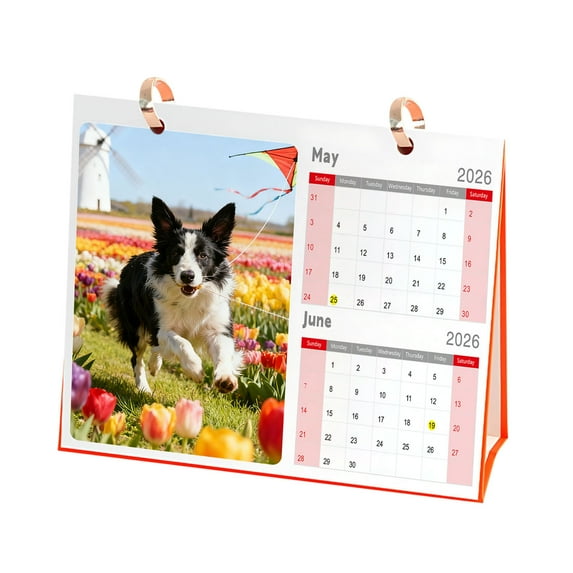 Luoshdecor 2026 Desktop Calendar,Cute Dog Standing Fliping Calendar Jan ...