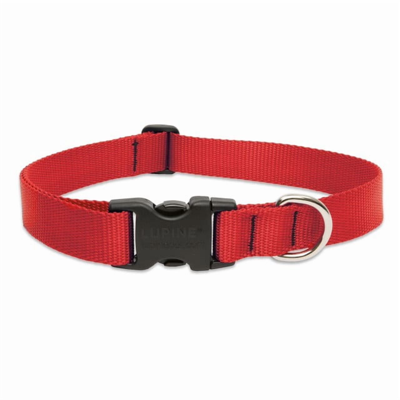 1PC Lupine Nylon Dog Collar - Walmart.com