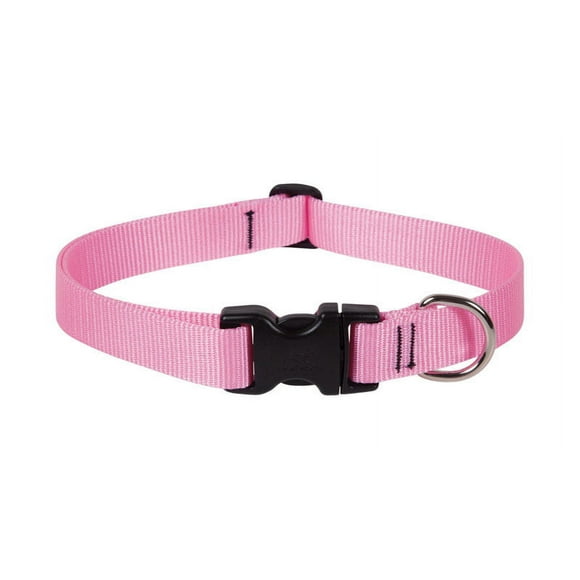 LupinePet Dog Collars in Dog Collars, Leashes, and Harnesses - Walmart.com