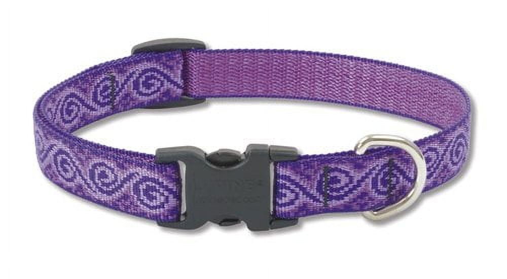 Lupine Pet 96902 Adjustable Collar Original Designs Multicolor Jelly ...