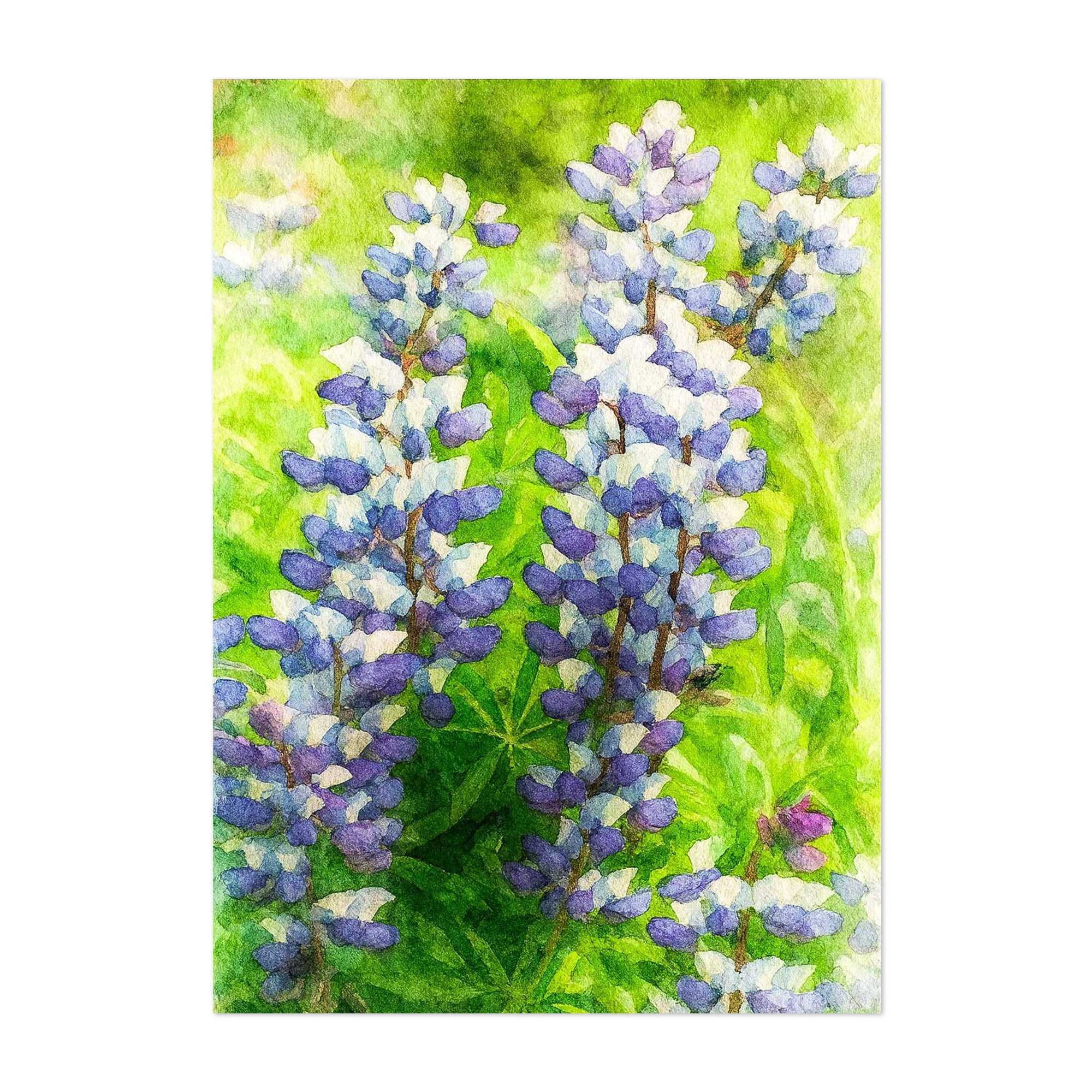 lupine-watercolor-painting-watercolor-floral-nature-botanical-flowers