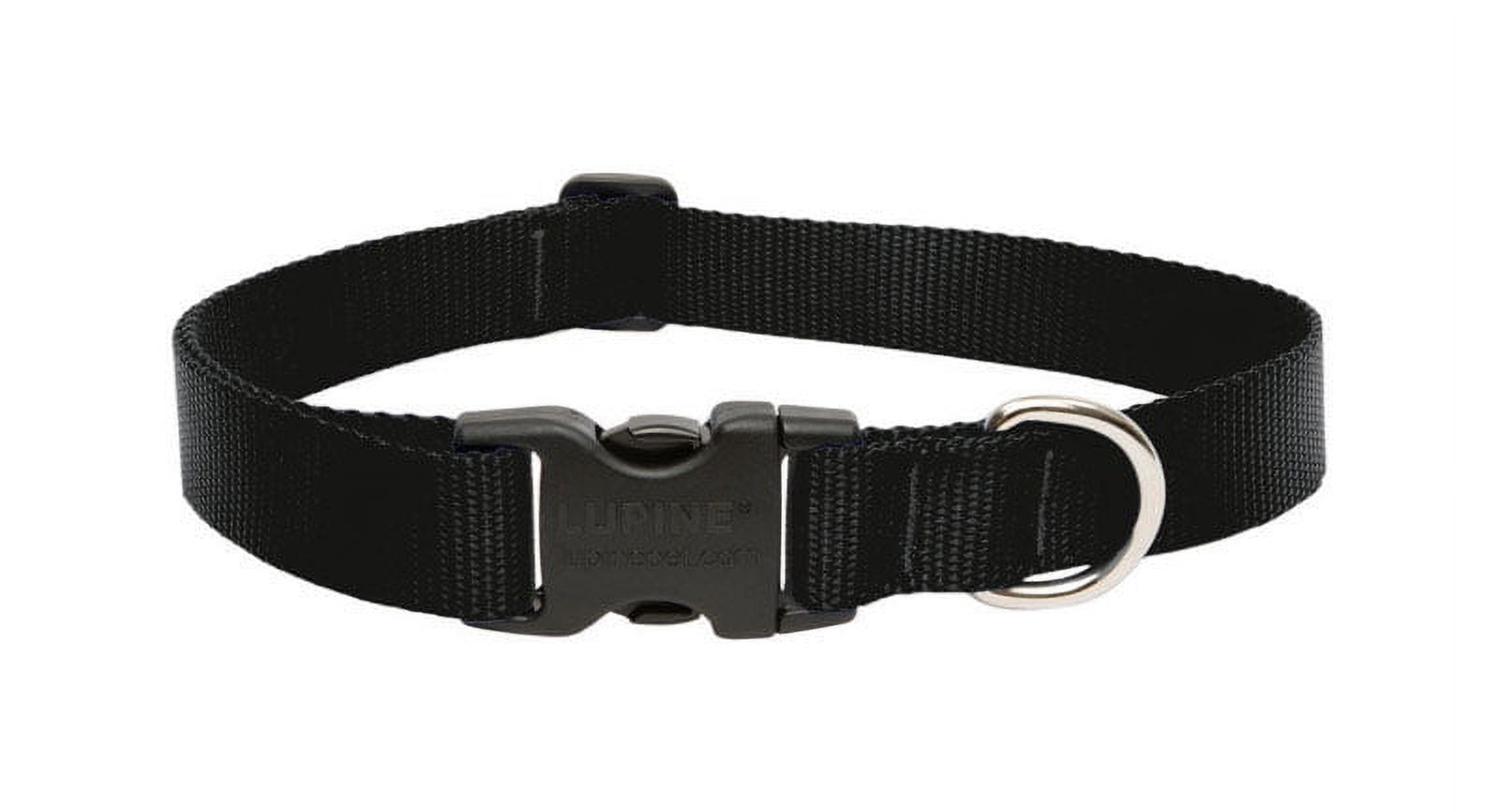 Lupine 1" X 16"-28" Adjustable Black Collar For Medium & Large D ...