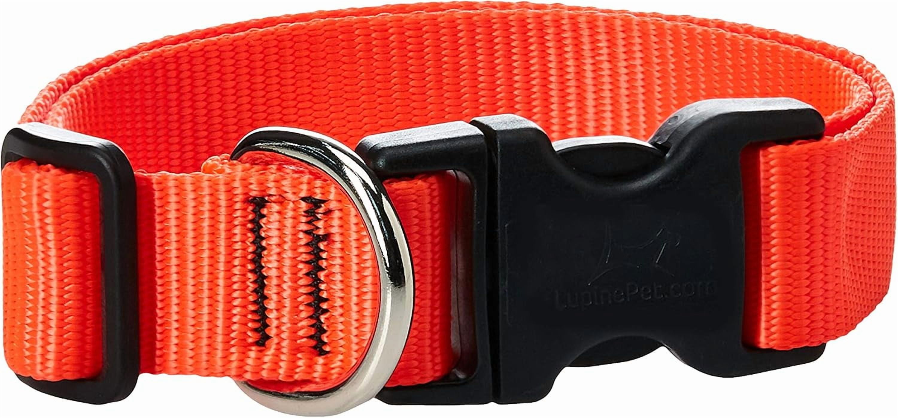LupinePet Basics 1" Blaze Orange 16-28" Adjustable Collar for Large ...
