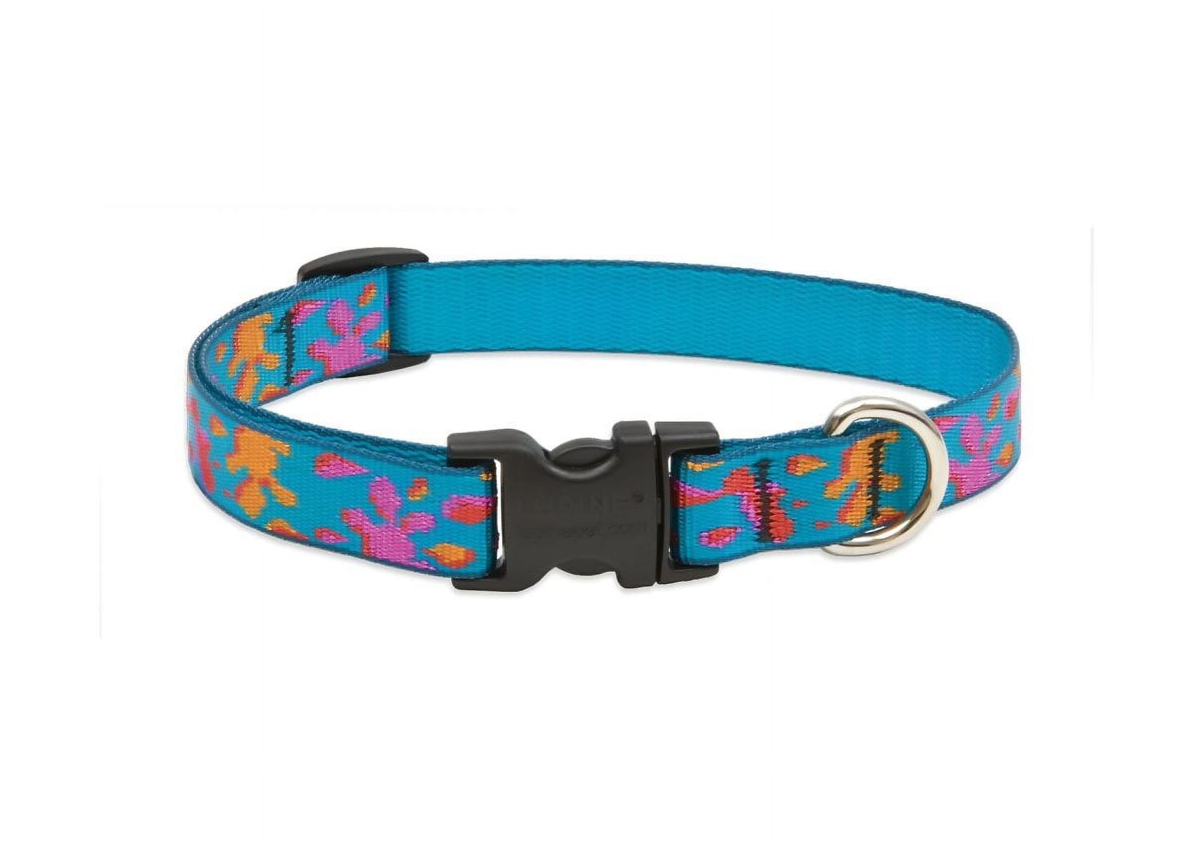 LupinePet Originals 3/4" Wet Paint 13-22" Adjustable Collar for Medium ...