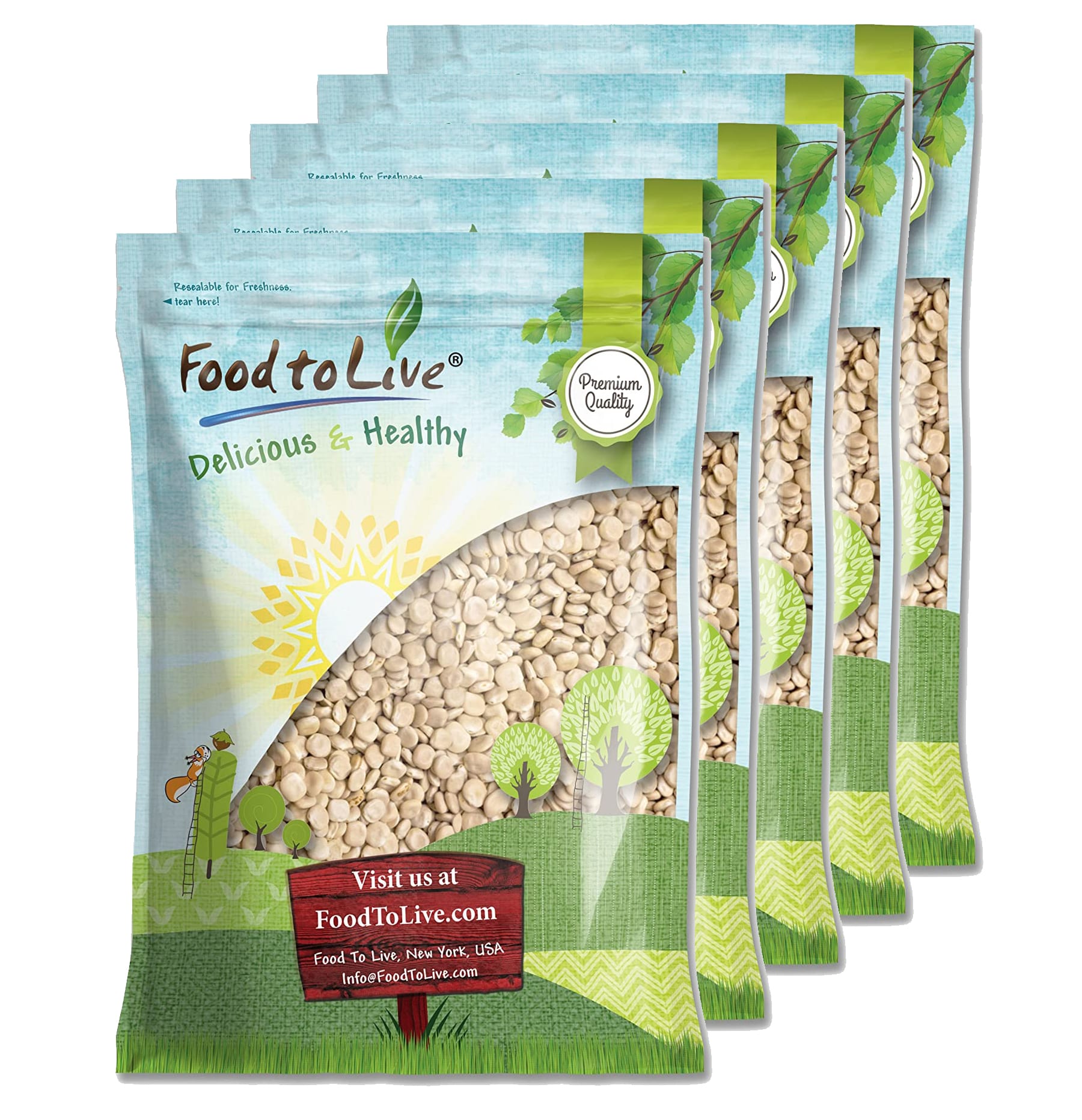 Lupini Beans, 55 Pounds - Kosher, Raw, Sproutable, Vegan - by Food to ...