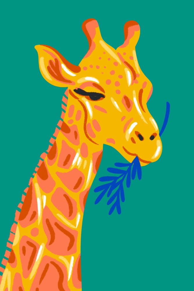 Lush Environment Collection, Giraffe Portrait (24x36 Giclee Gallery Art ...