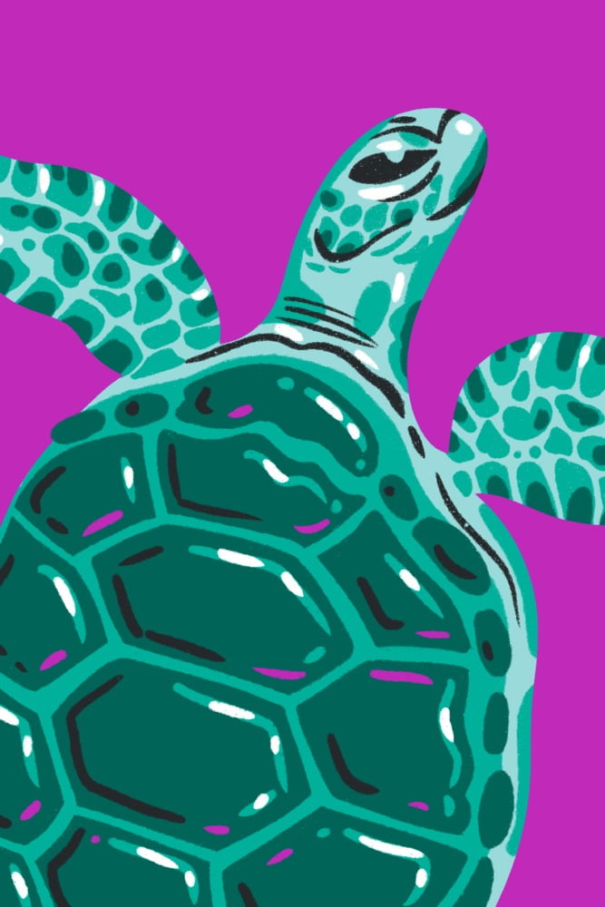 Lush Environment Collection, Sea Turtle Portrait (9x12 Wall Art Print ...