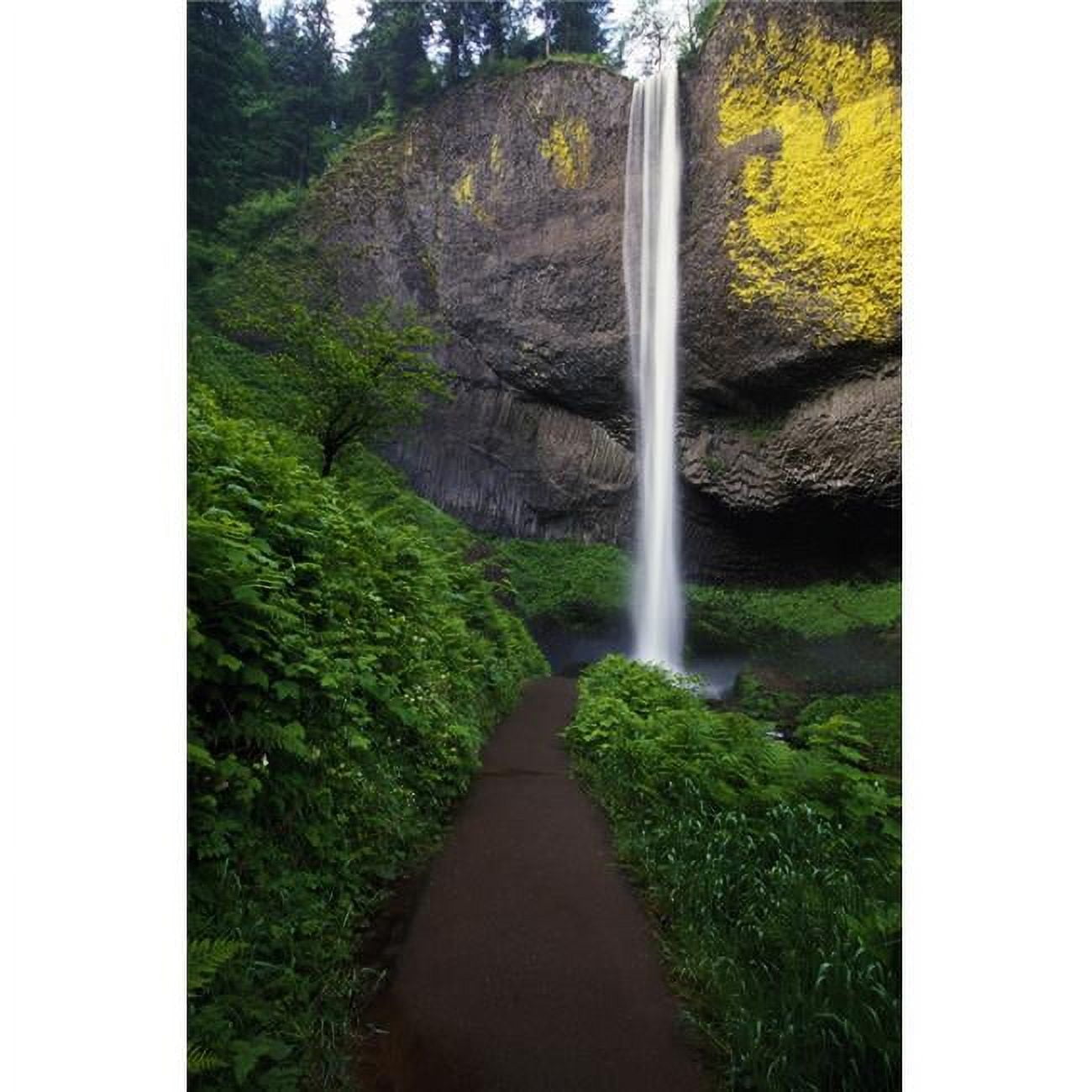 Lush Foliage Along Path To Latourell Falls Poster Print by Natural ...